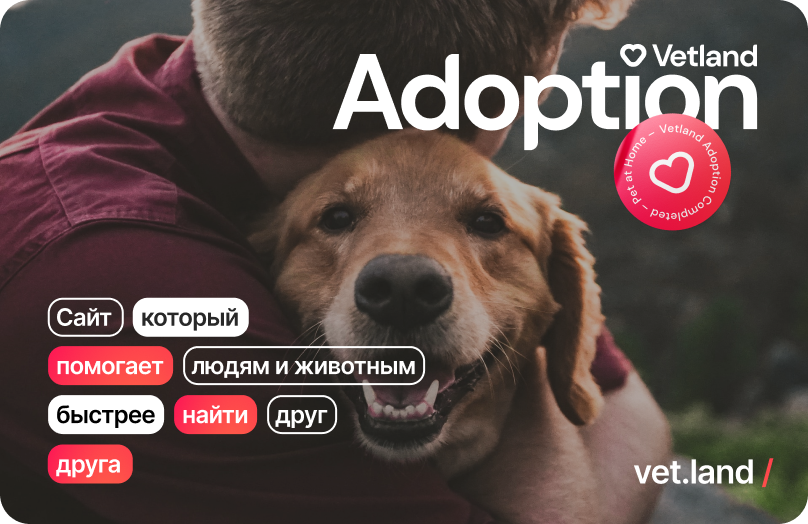Приют для собак и кошек "Vetland Adoption"